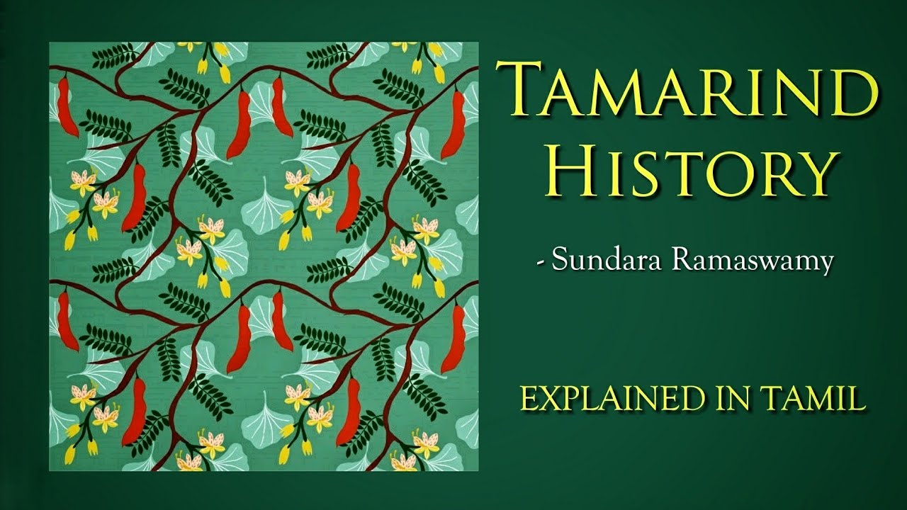 TAMARIND HISTORY by Sundara Ramaswamy summary in Tamil with notes ...