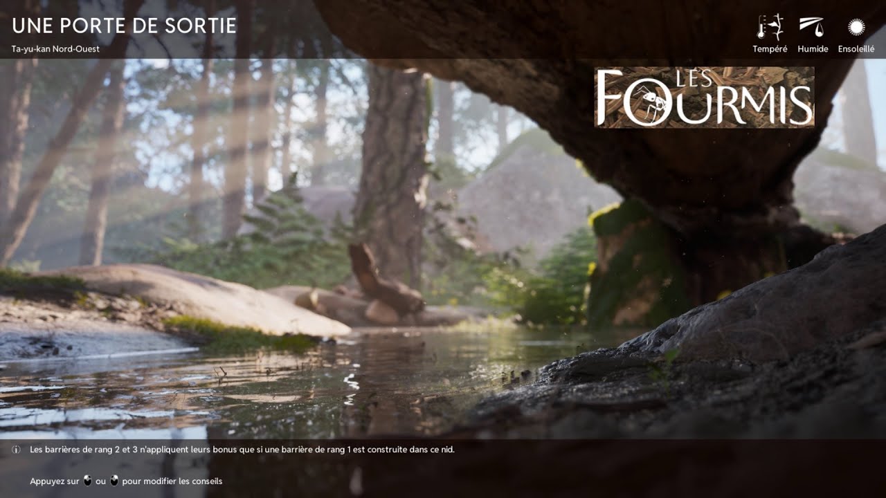 Les Fourmis : Une porte de sortie - YouTube