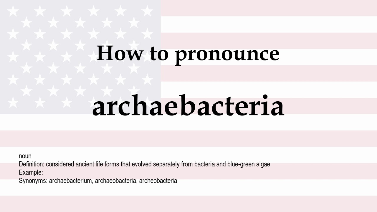How to pronounce 'archaebacteria' + meaning - YouTube