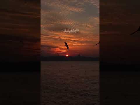 Sezen Aksu Geri dön