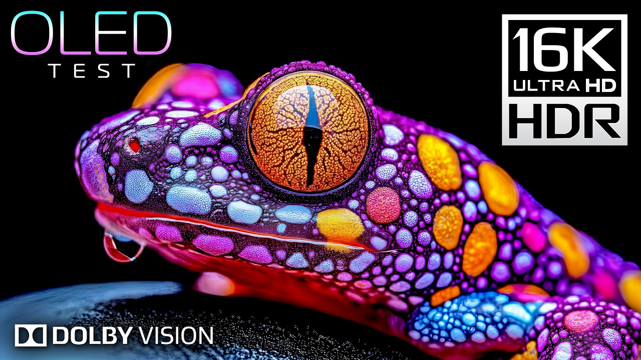 OLED Test - 16K VIDEO ULTRA HD | 16K HDR Dolby Vision (4K/8K TV) - YouTube