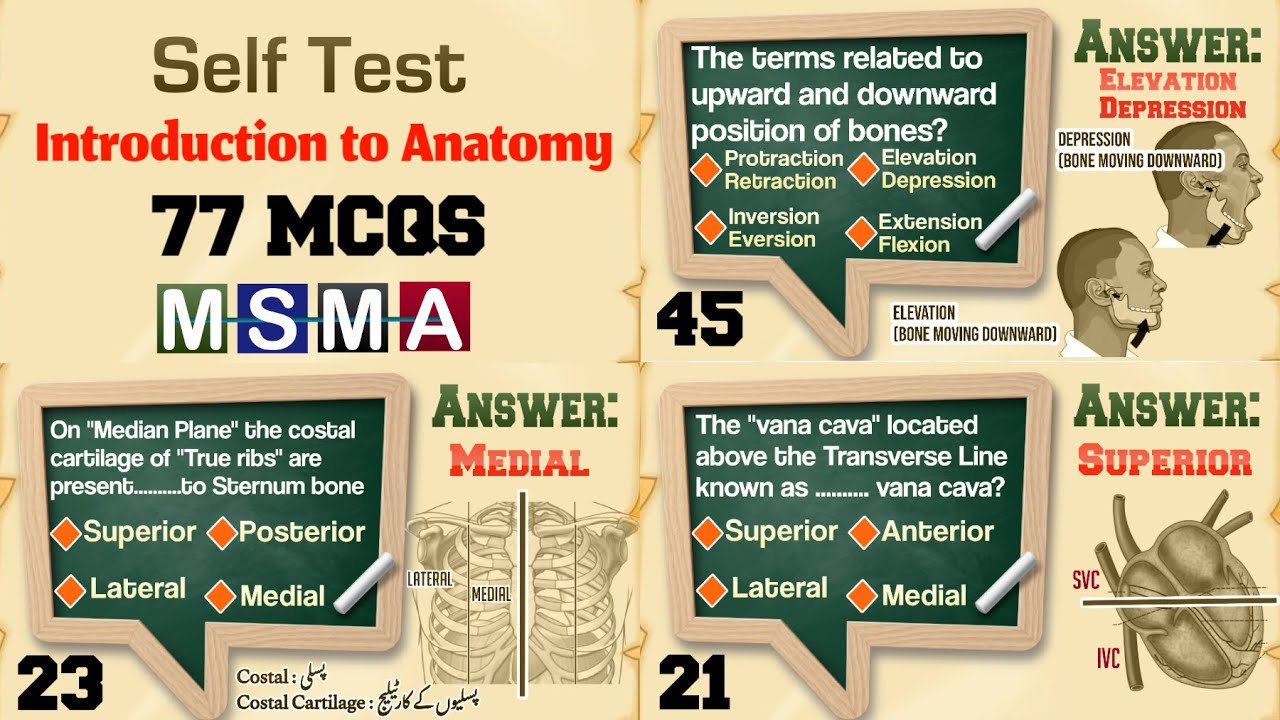 Medical Quizzes || MCQS || Introduction to Anatomy || MSMD - YouTube