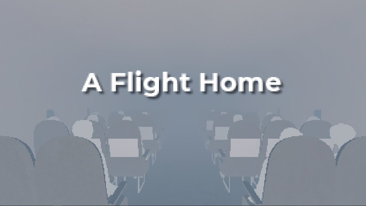 НИКТО не говорит про эту игру | A Flight Home - YouTube