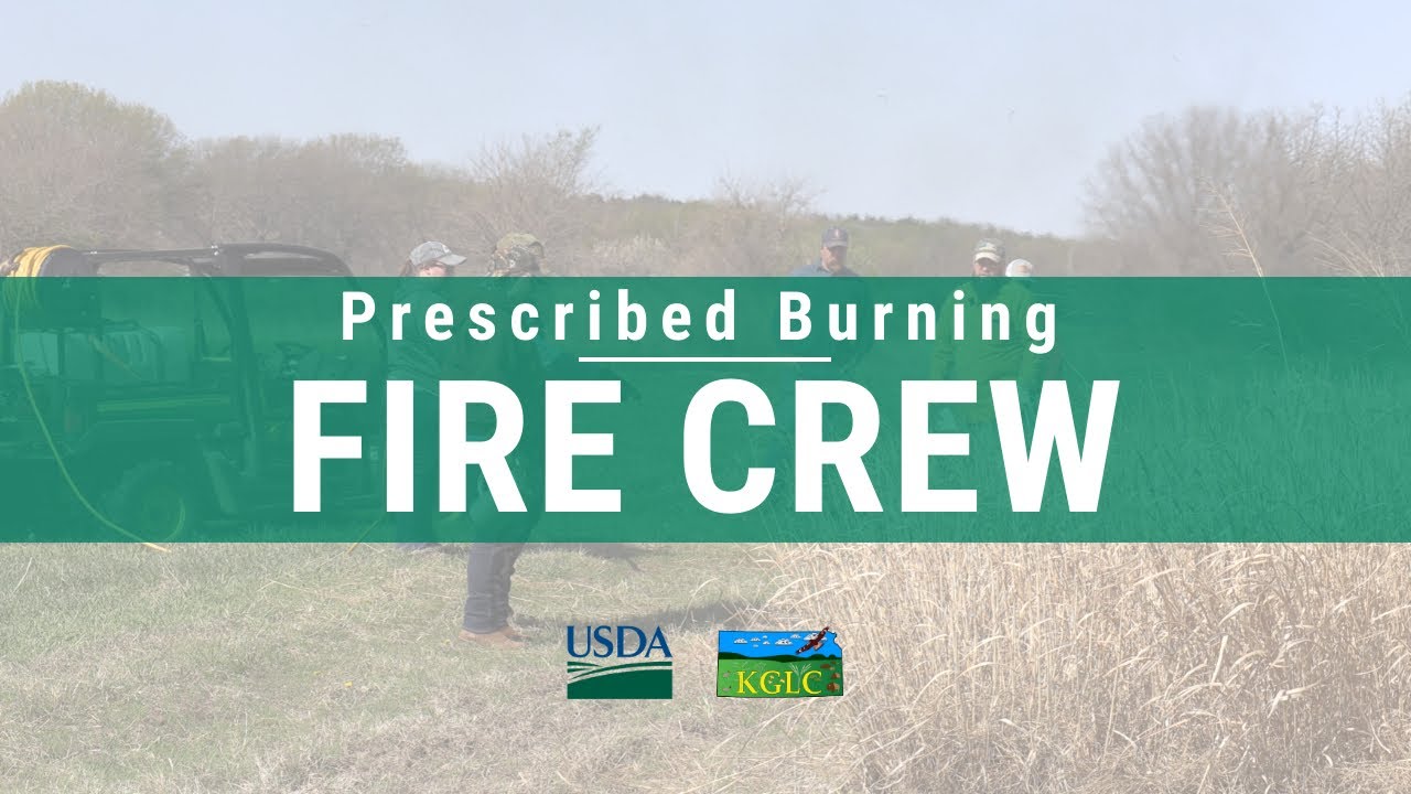 Prescribed Burning - Who is in a Fire Crew USDA-NRCS & KGLC - YouTube