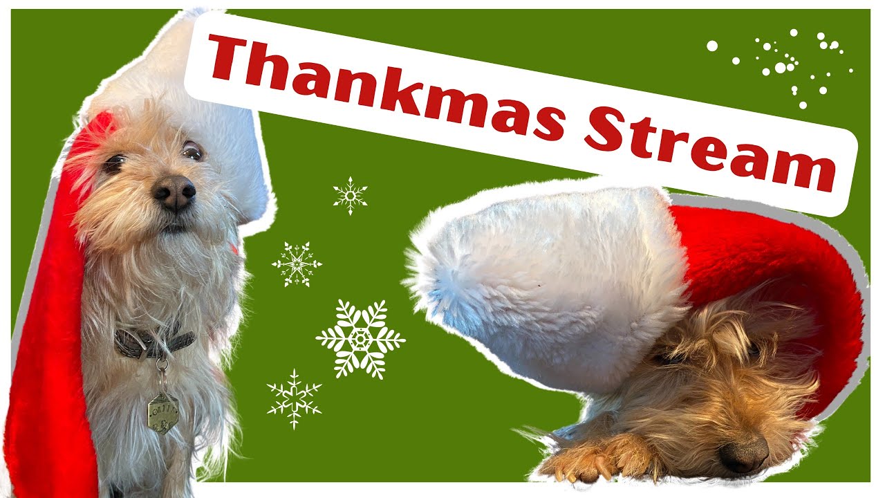 It's Thankmas 2022! Let's Donate To Charity! - YouTube