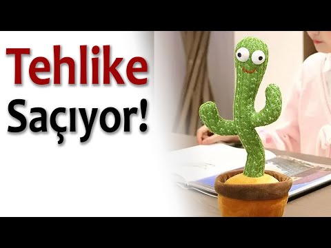 Dans Eden Kaktüs Toplatılıyor