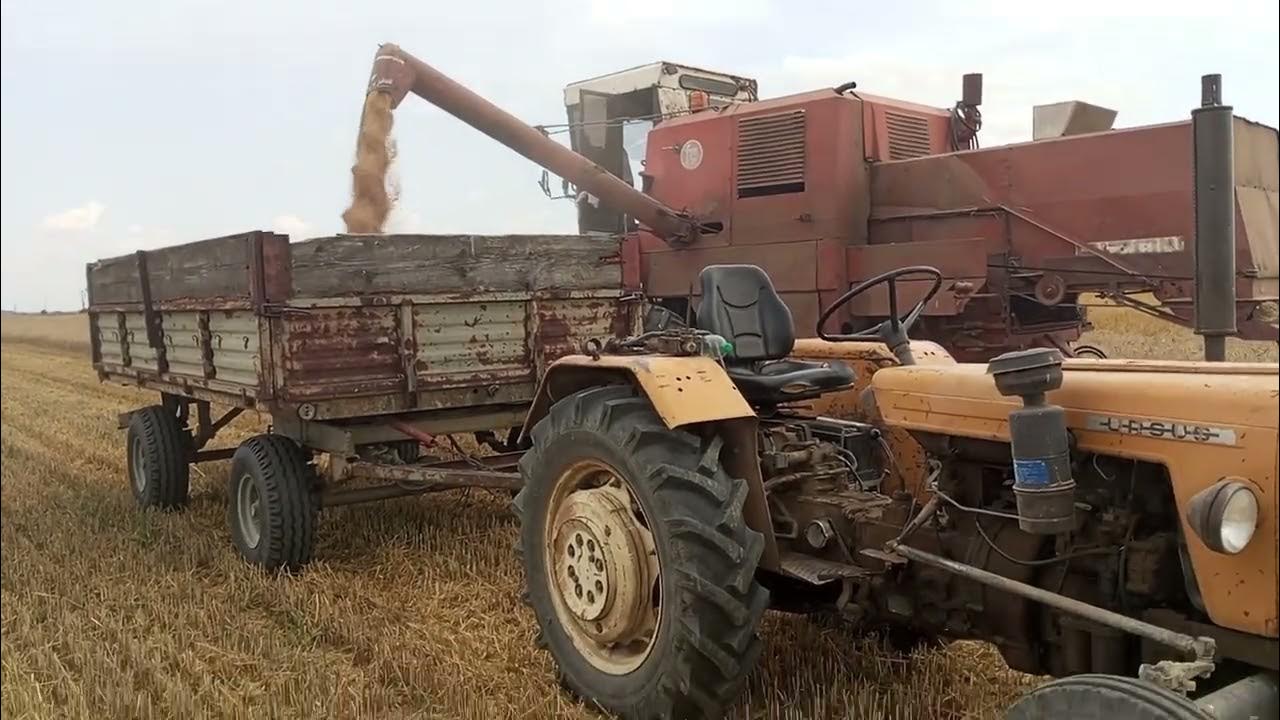 🚜🔥Pszenżyto 2024 🔥 Bizon & Ursus🔥🚜 - YouTube