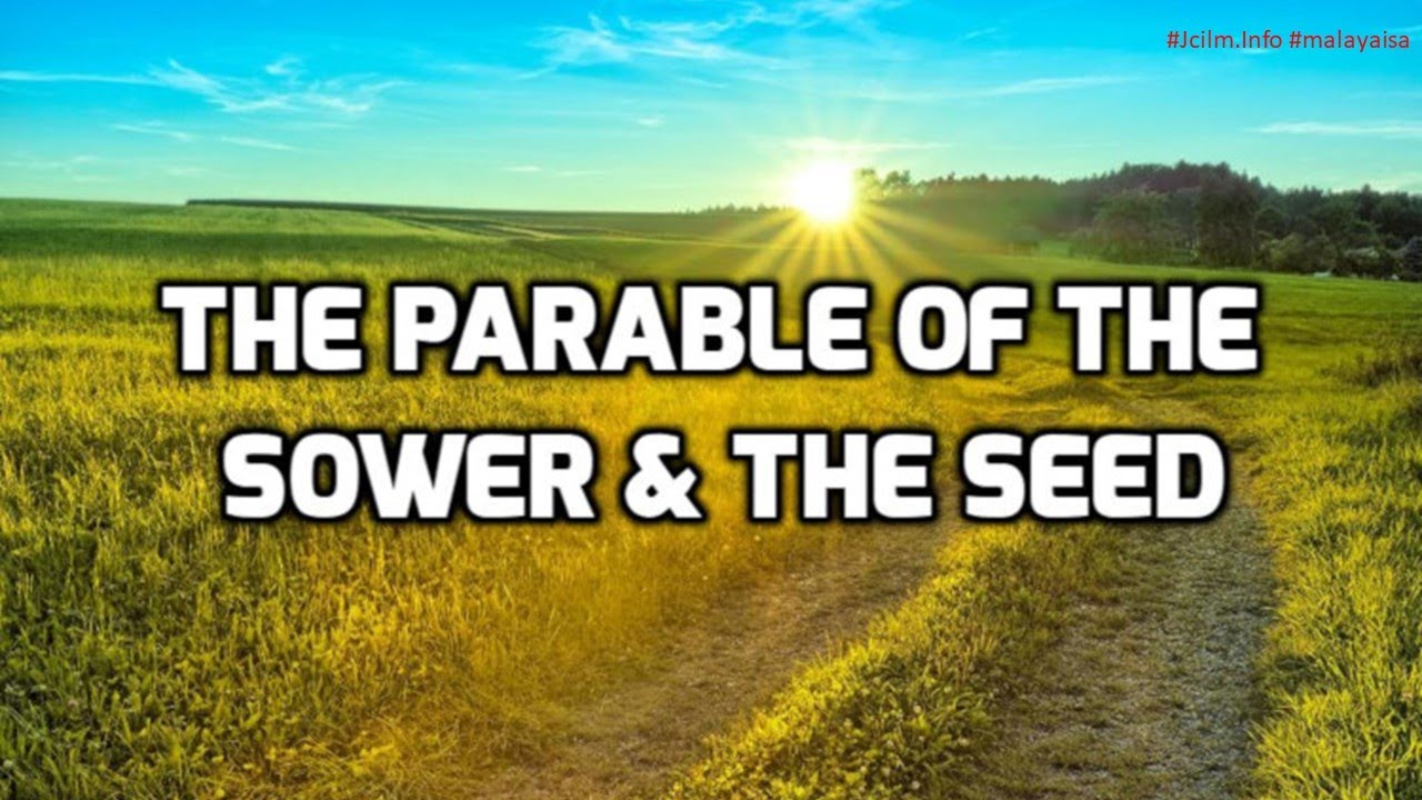 The Parable of The Sower & The Seed | Sr Joselin - YouTube