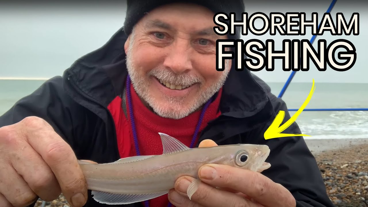 Whiting Fishing on Shoreham Beach: High Hopes and Unexpected Results ...