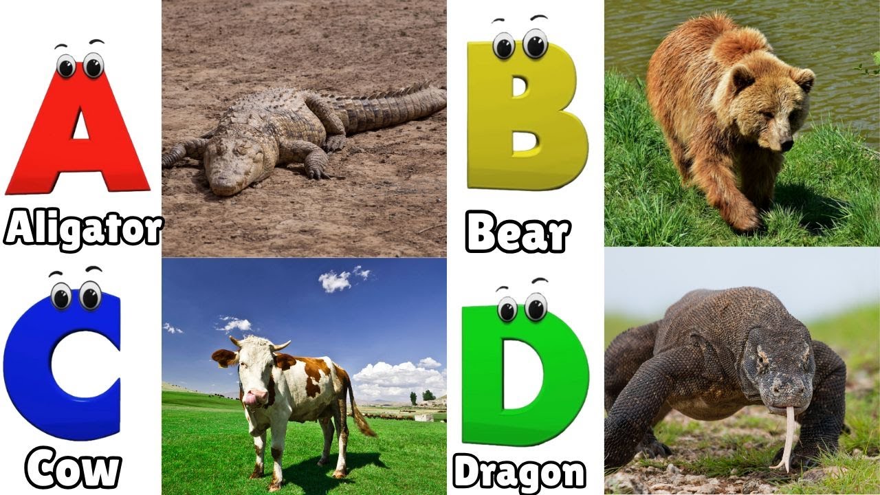 Alphabet Animals Song | Learn the ABC Alphabet Animals Song for Kids ...