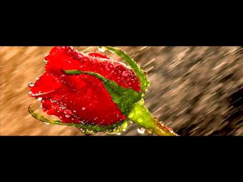 Nuri Sesigüzel sevda yüklü kervanlar