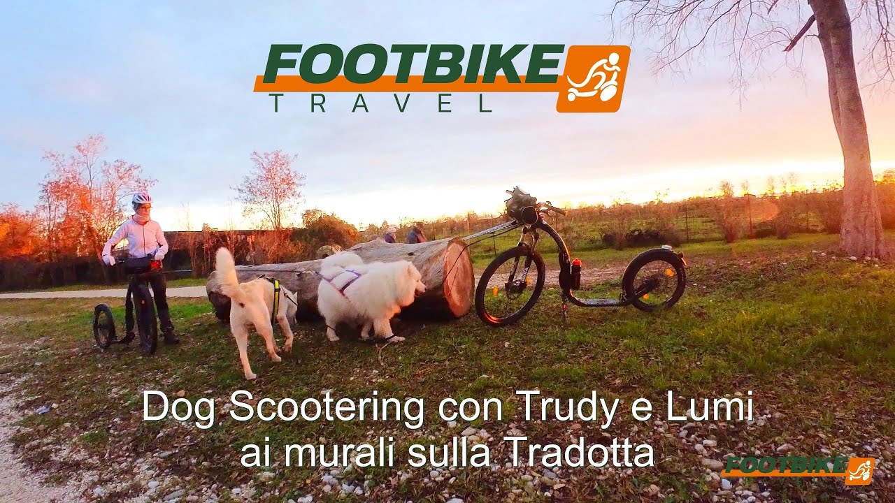 Dog Scootering con Trudy e Lumi ai Murali sulla Tradotta - Scooter ...