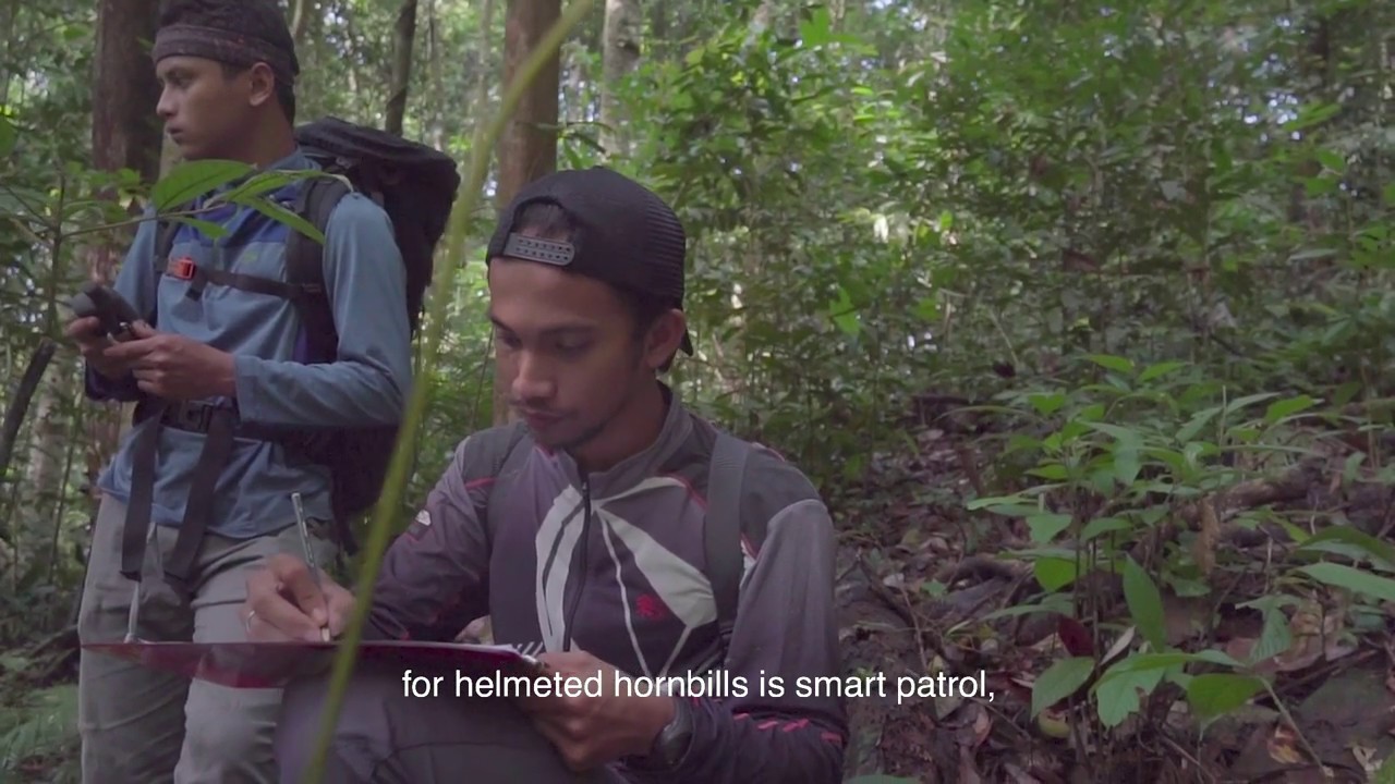Gunung Niut Nature Reserve - YouTube