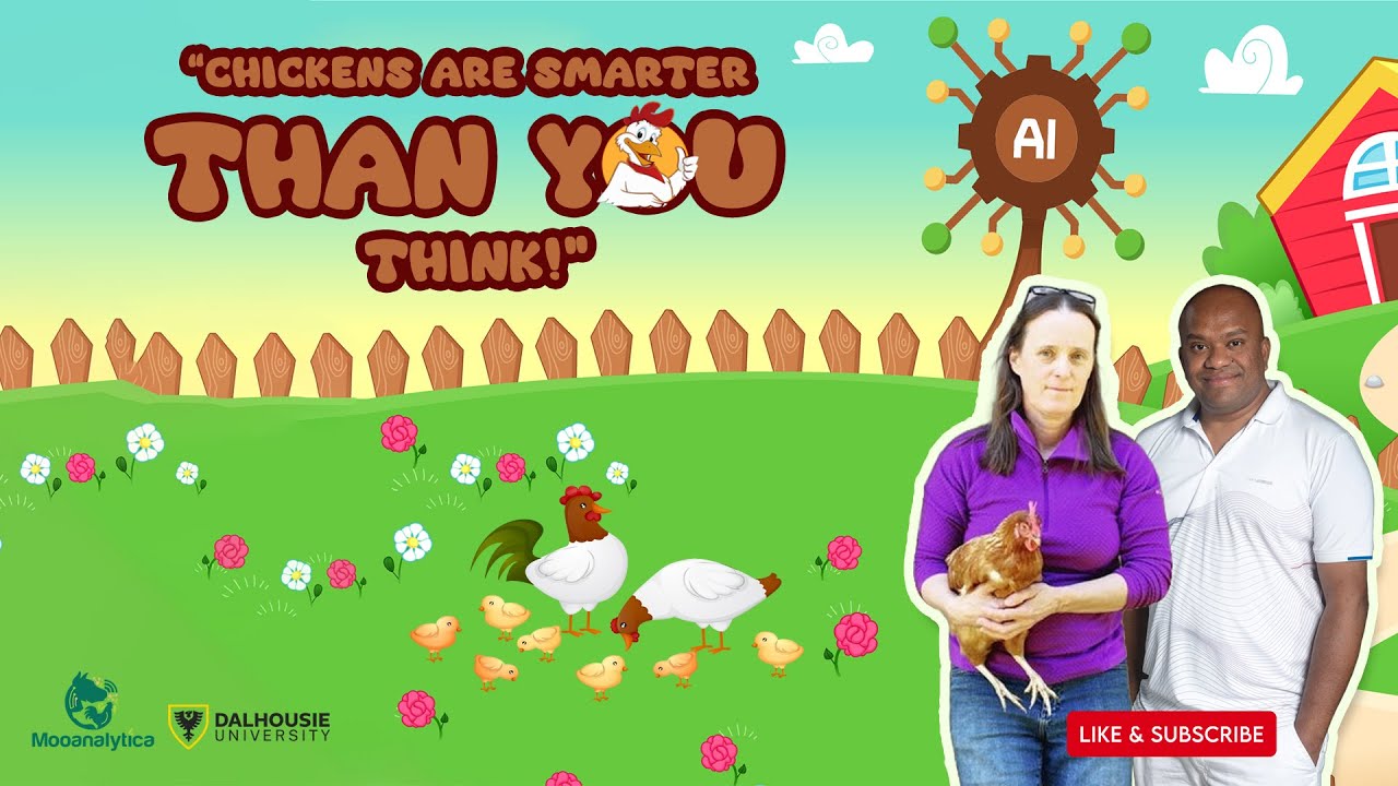 🌟 Unlocking Chicken Intelligence - A Journey Through Citizen Science 🌟 ...