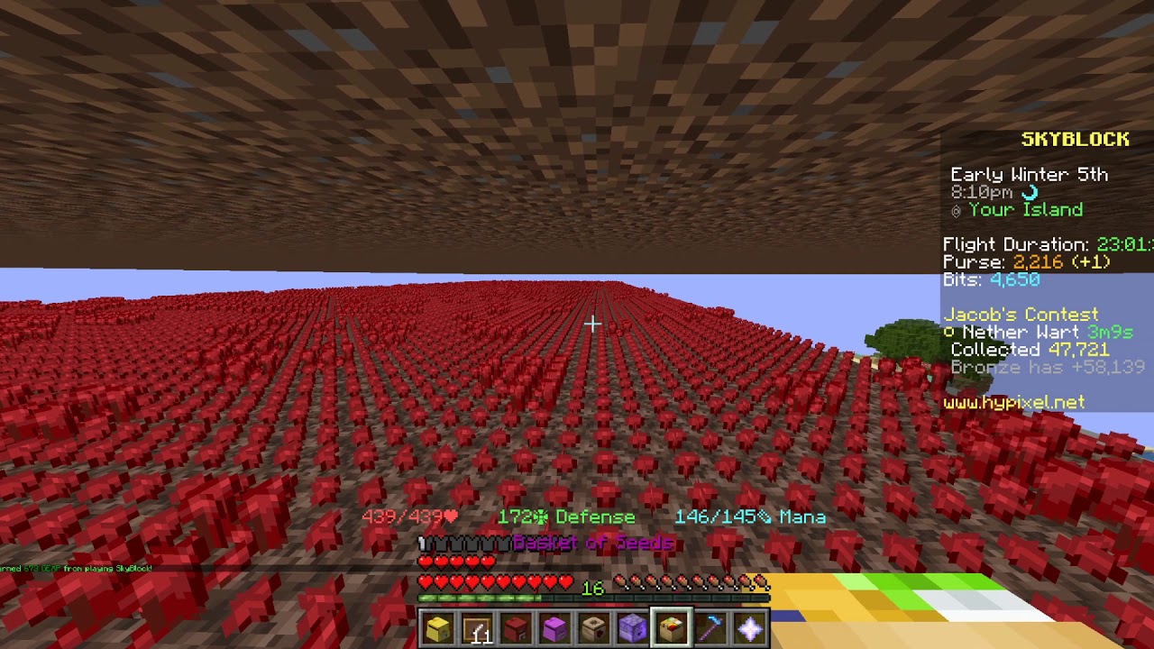 Enchanted Nether Wart bag glitch - Hypixel Skyblock - YouTube