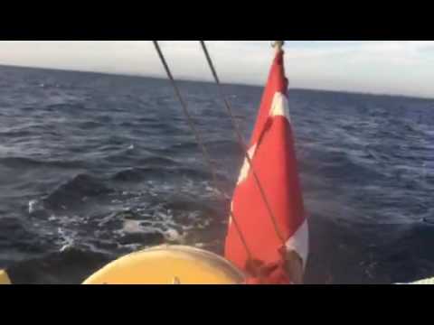 Aphrodite 25 Hornbæk - YouTube