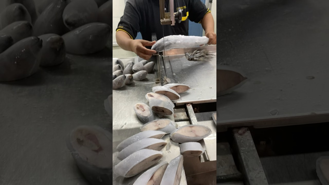 Amazing Delicious!! Frozen Seer Fish Cutting Skills Slice With Machine ...