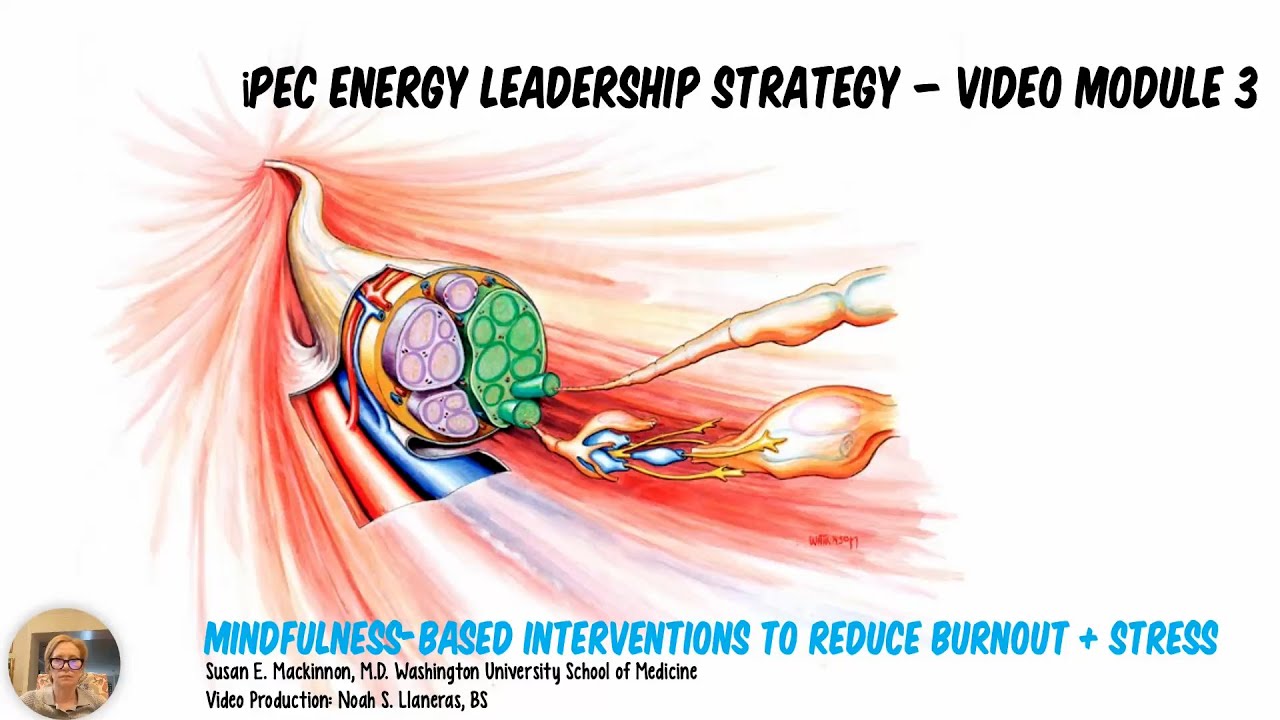 iPEC Energy Leadership Strategy - YouTube