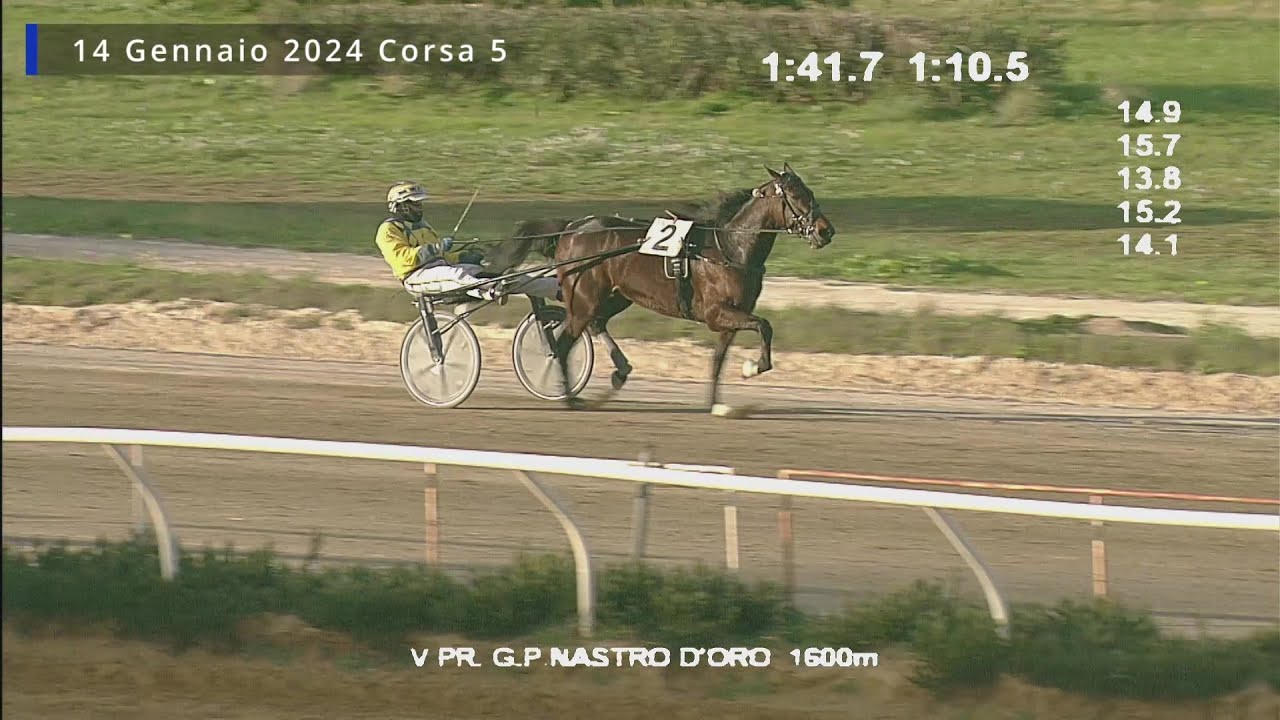 Trotto Corse del 14 GENNAIO 2024 - YouTube