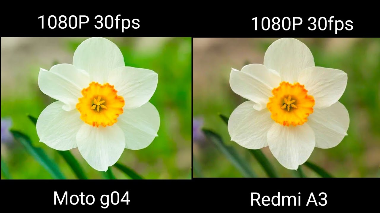 moto g04 5g camera test || redmi a3 camera test || moto g04 camera test ...