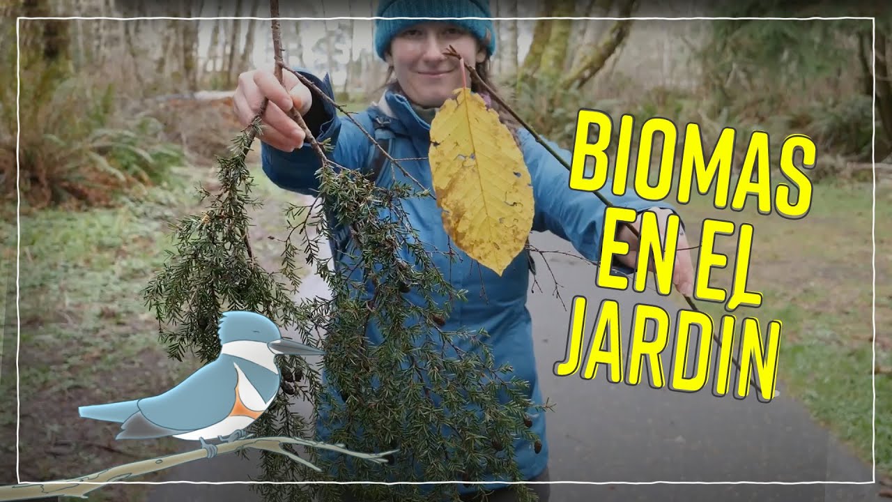 Biomas en el jardín / Backyard Biomes for 3rd Graders (Spanish version ...