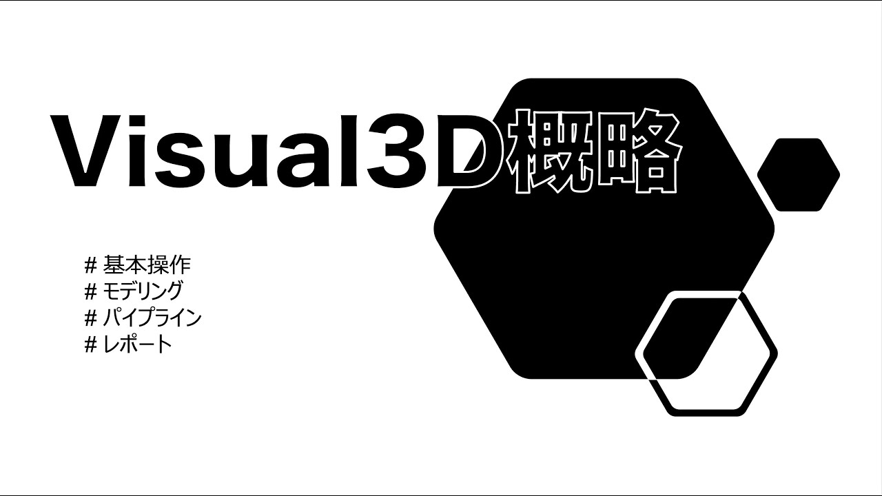 Visual3D概略 - YouTube