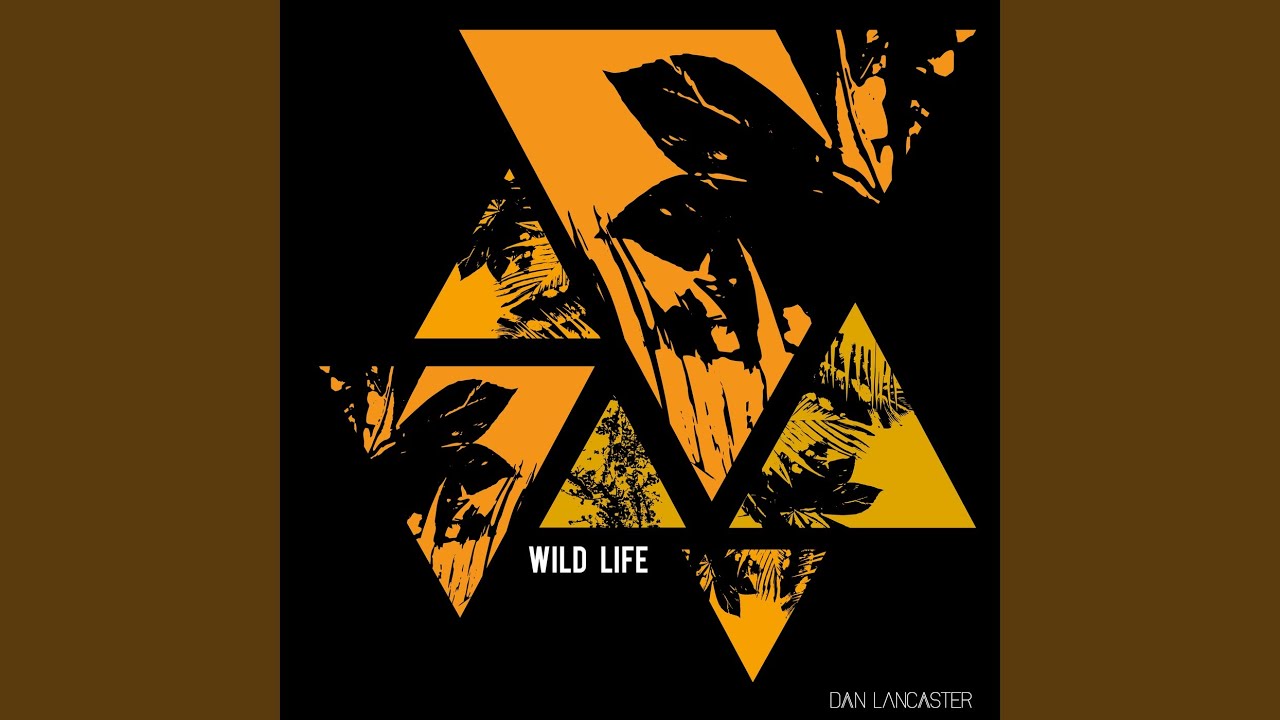 Wild Life - YouTube