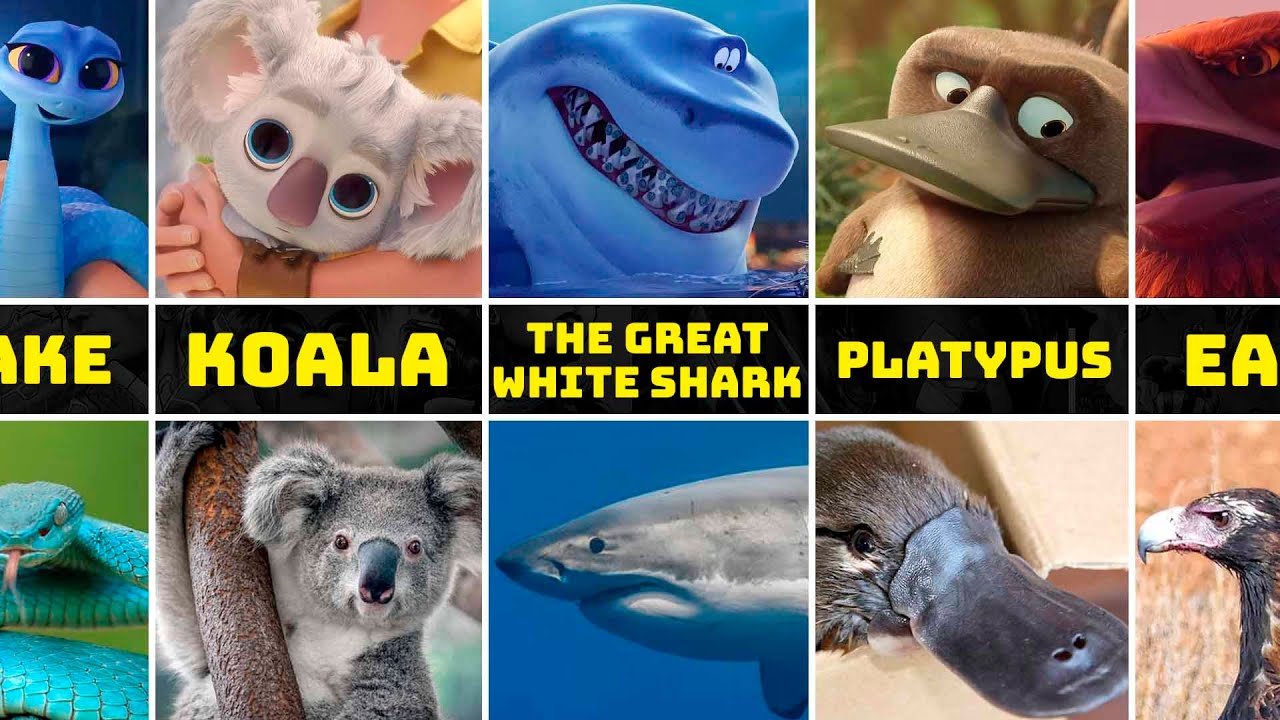 Back to the Outback Characters in Real Life - YouTube