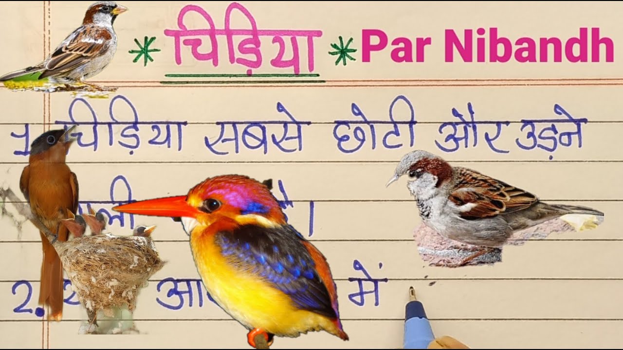 10 Lines on Sparrow In Hindi | Chidiya Par 10 Line Hindi Mein | चिड़िया ...