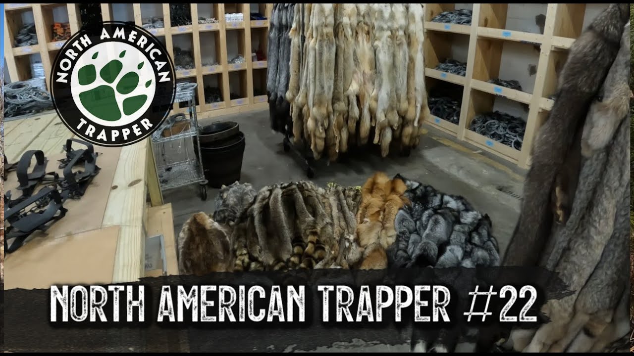 Daily Duties ~ RUNNING NORTH AMERICAN TRAPPER #22 - YouTube