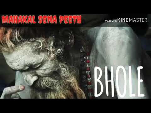 bhole tere bhoot hum || mahadev 4g new song