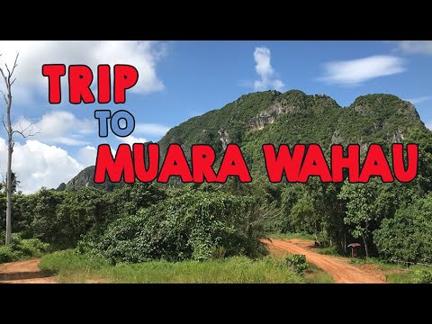 My Trip to Muara Wahau || KUTAI TIMUR || KALIMANTAN TIMUR - YouTube