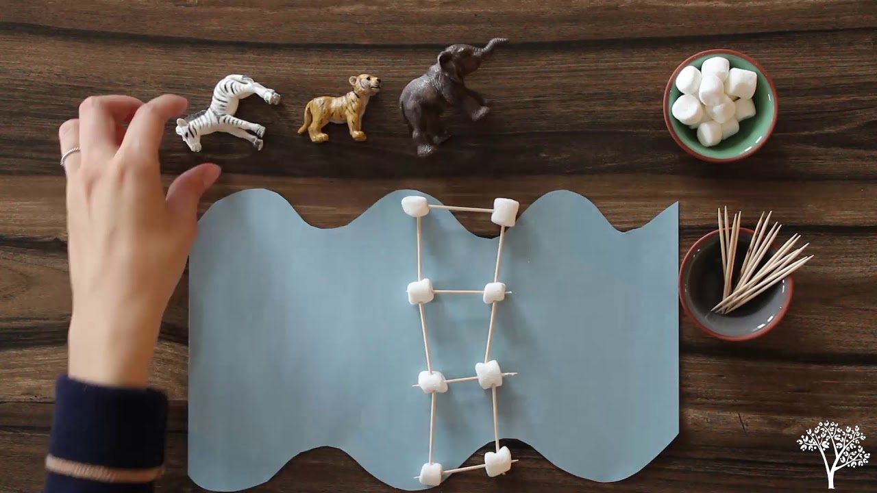 Engineering a Bridge STEM Activity - YouTube