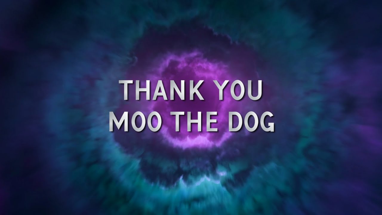 Thank you Moo The Dog! - YouTube