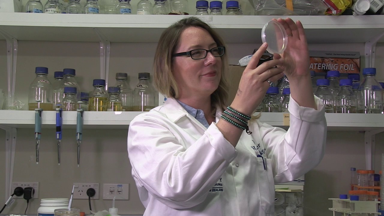 Fascination Science Series | Massey University - YouTube