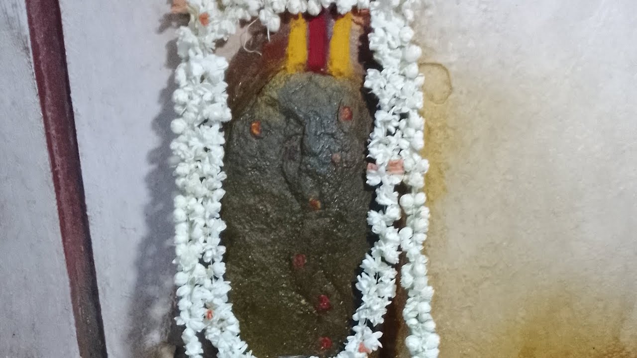 Today Tuesday dated 30- 5- 2023, Panchamrutha Abhisheka was performed ...
