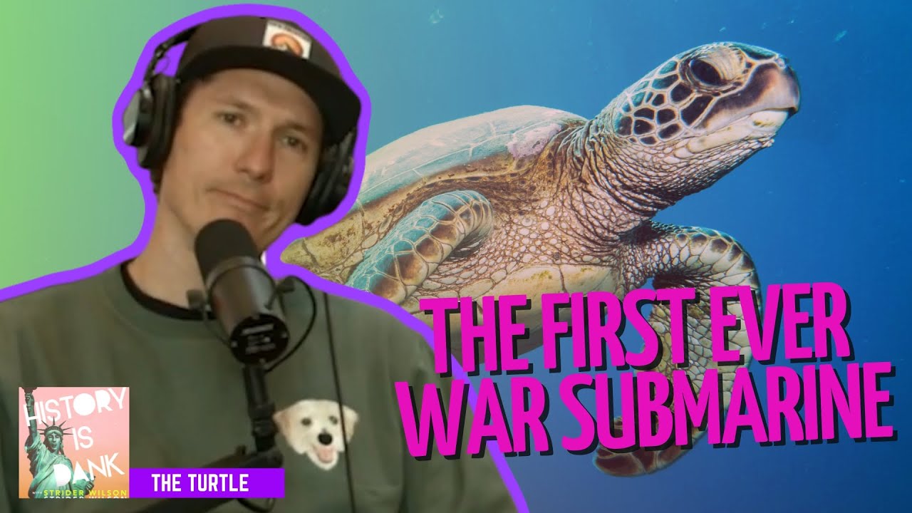 The Turtle Of War - YouTube