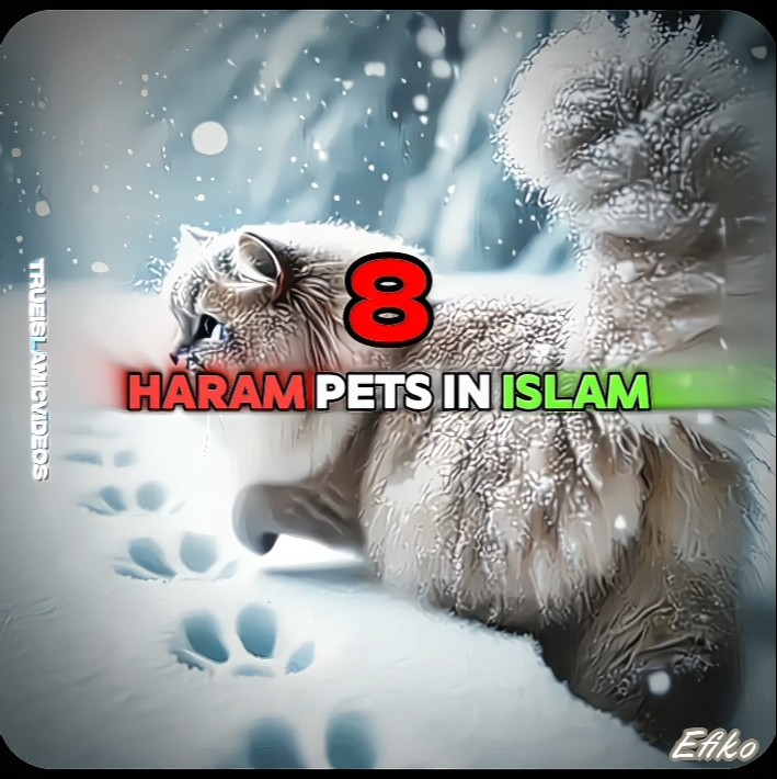 8 HARAM PETS 🦜IN ISLAM 😯 - YouTube
