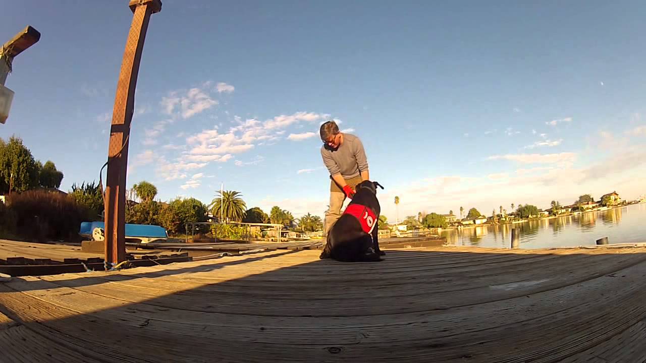 Pivet Exercise with lilly - YouTube