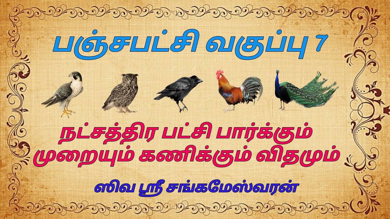 நட்சத்திர பட்சி கணிக்கும் விதமும் பார்கும் முறையும். | பஞ்சபட்சி ...