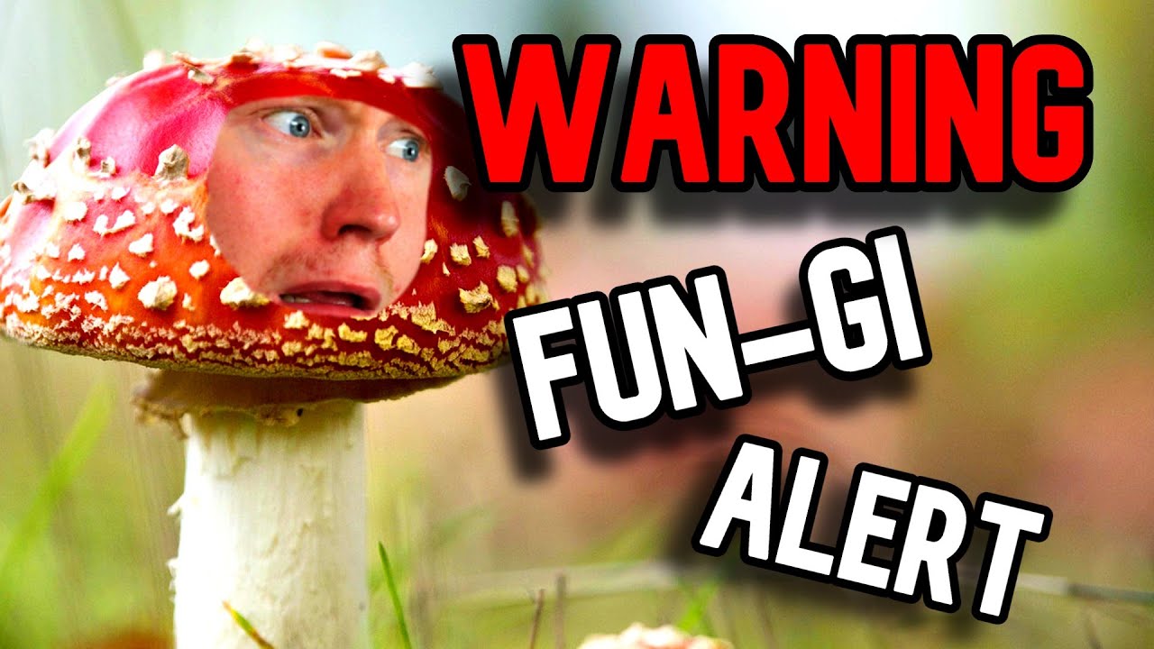 Fungiman | A Mushroom Horror Game - YouTube