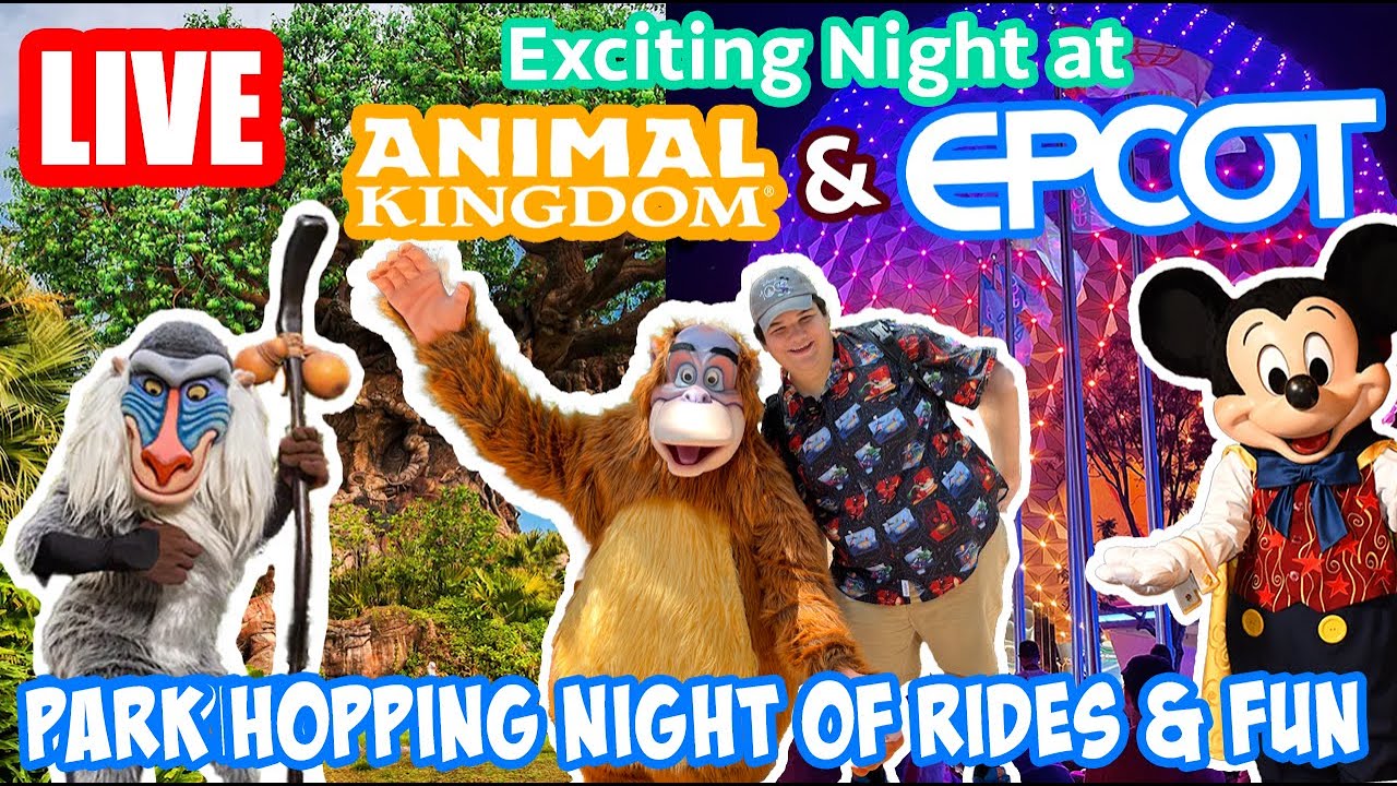 🔴Live: Park Hopping Night at Animal Kingdom and EPCOT! - Rides & More ...