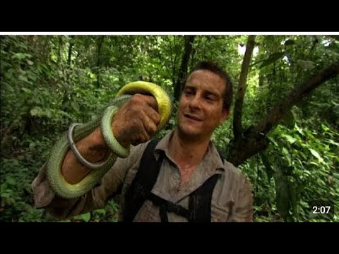 Bangla Discover