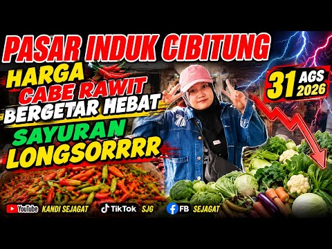 HARGA CABE RAWIT BERGETAR LAGI,SAYURAN LONGSORR,PASAR INDUK CIBITUNG ,31 AGS 2026
