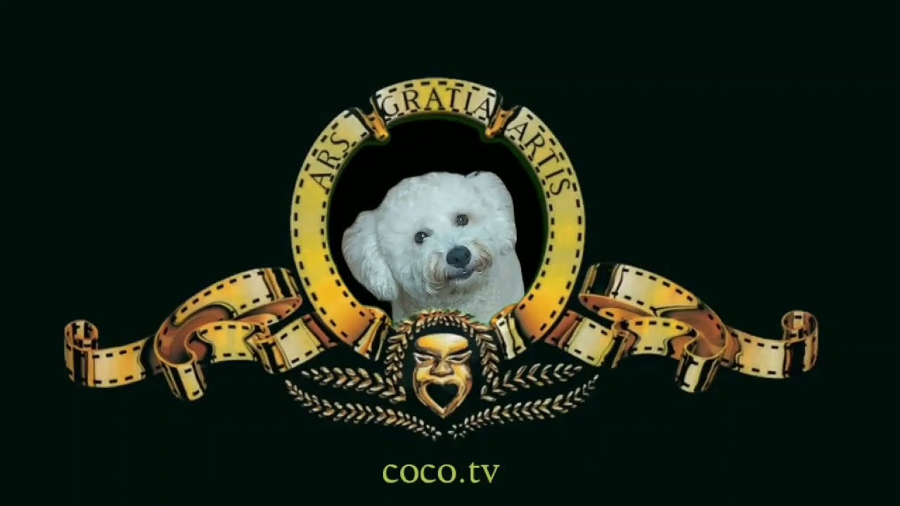CoCo dog MgM intro - YouTube