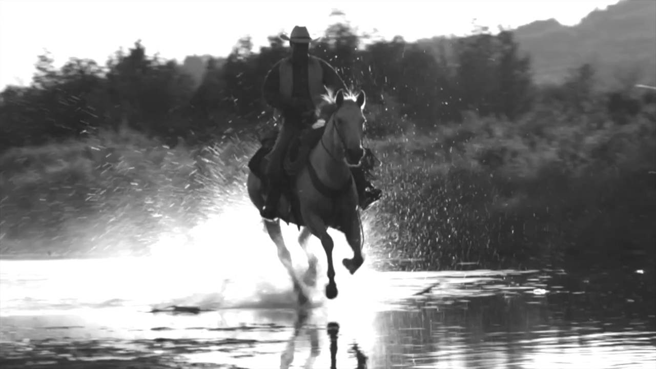 Johnny Cash - Tennessee Stud - YouTube