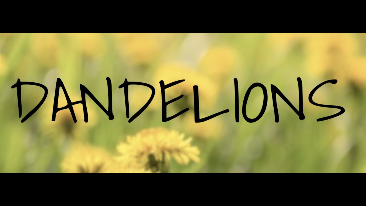 Dandelions - YouTube