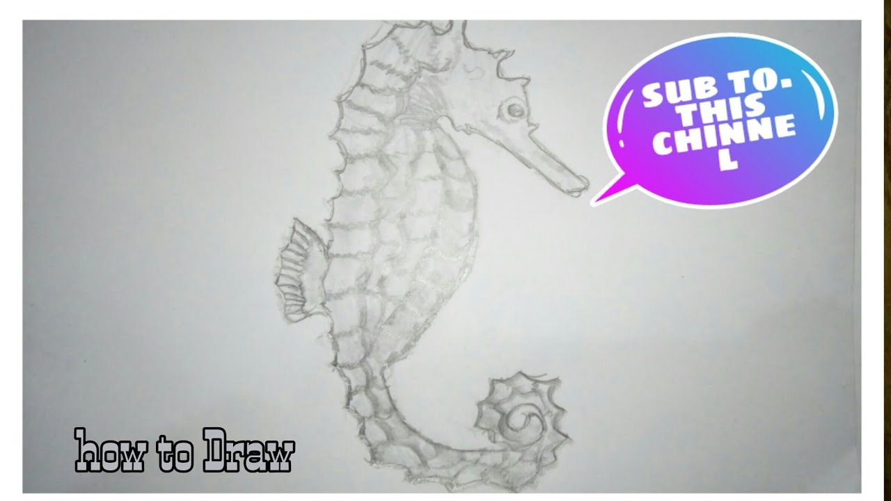 How to Draw a Beautiful sea horse (step by step) - YouTube
