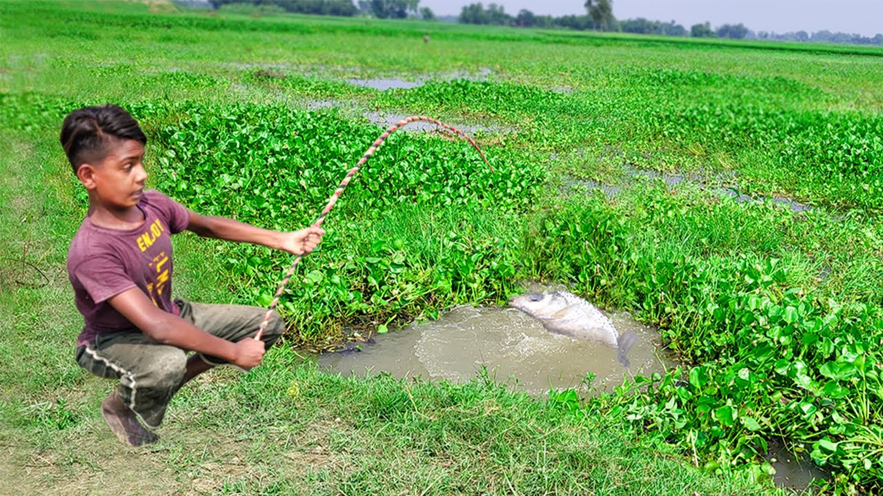 Fishing Video || I was really impressed to see such a beautiful fishing ...