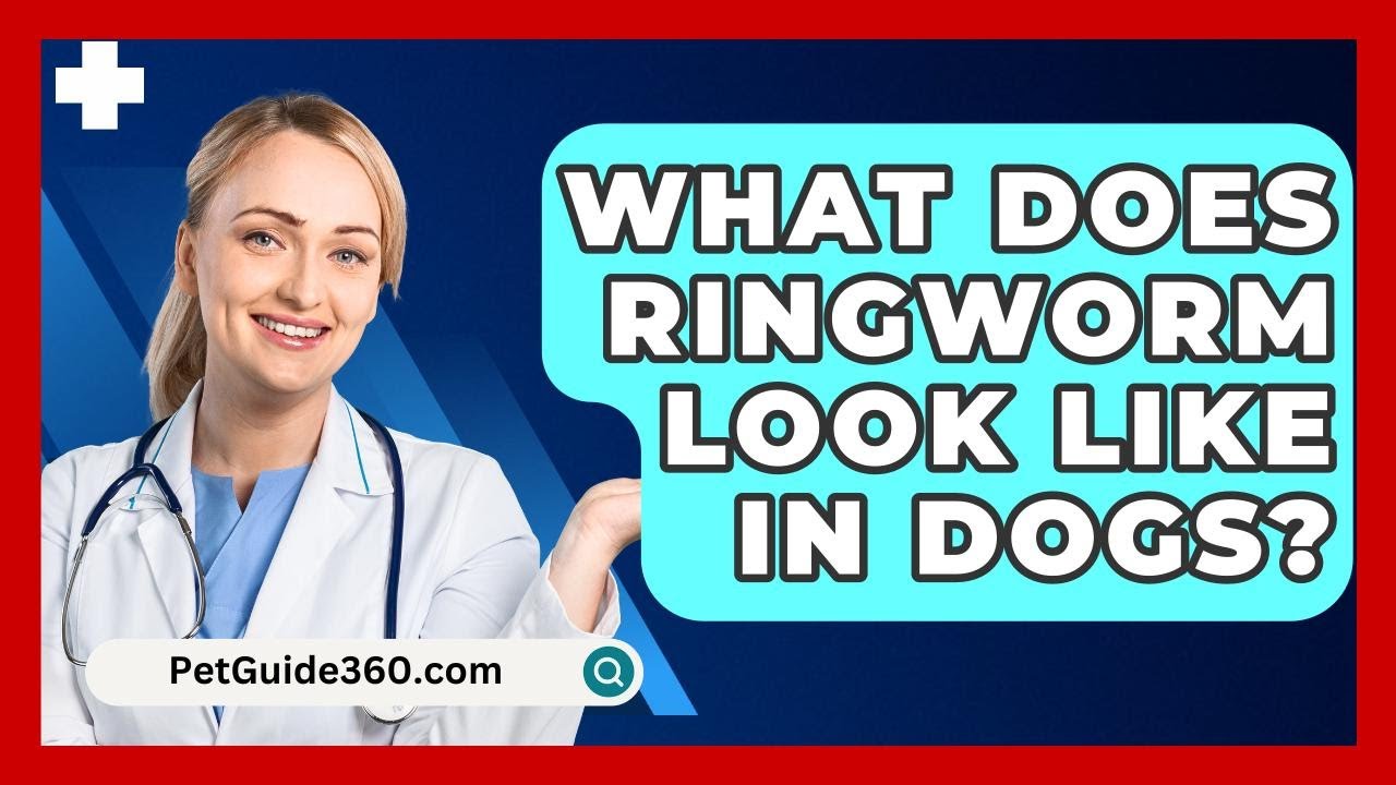 What Does Ringworm Look Like In Dogs? - PetGuide360.com - YouTube